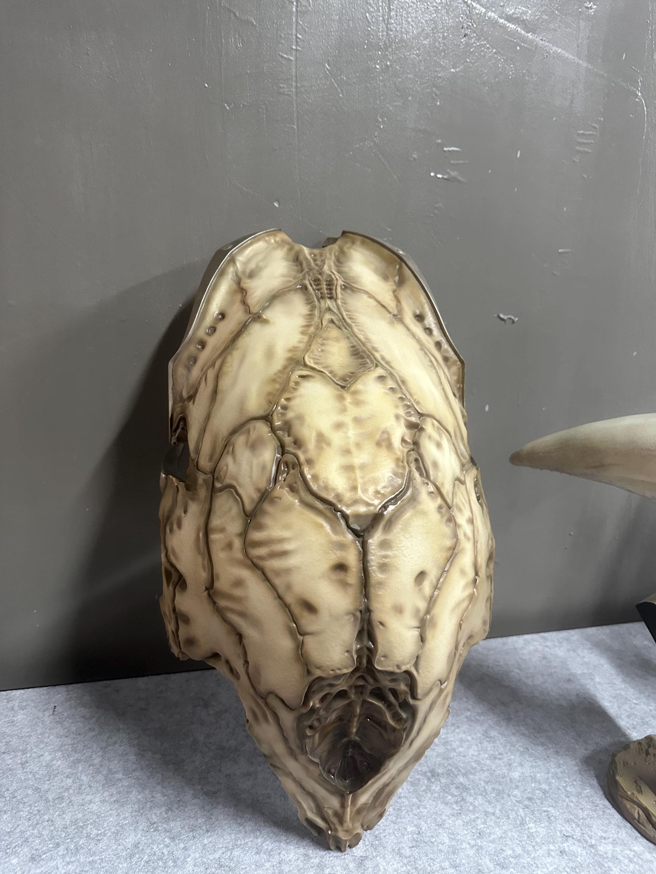 Predator "prey" Feral Predator Bone Mask, 1:1 Life-size Movie Prop ...
