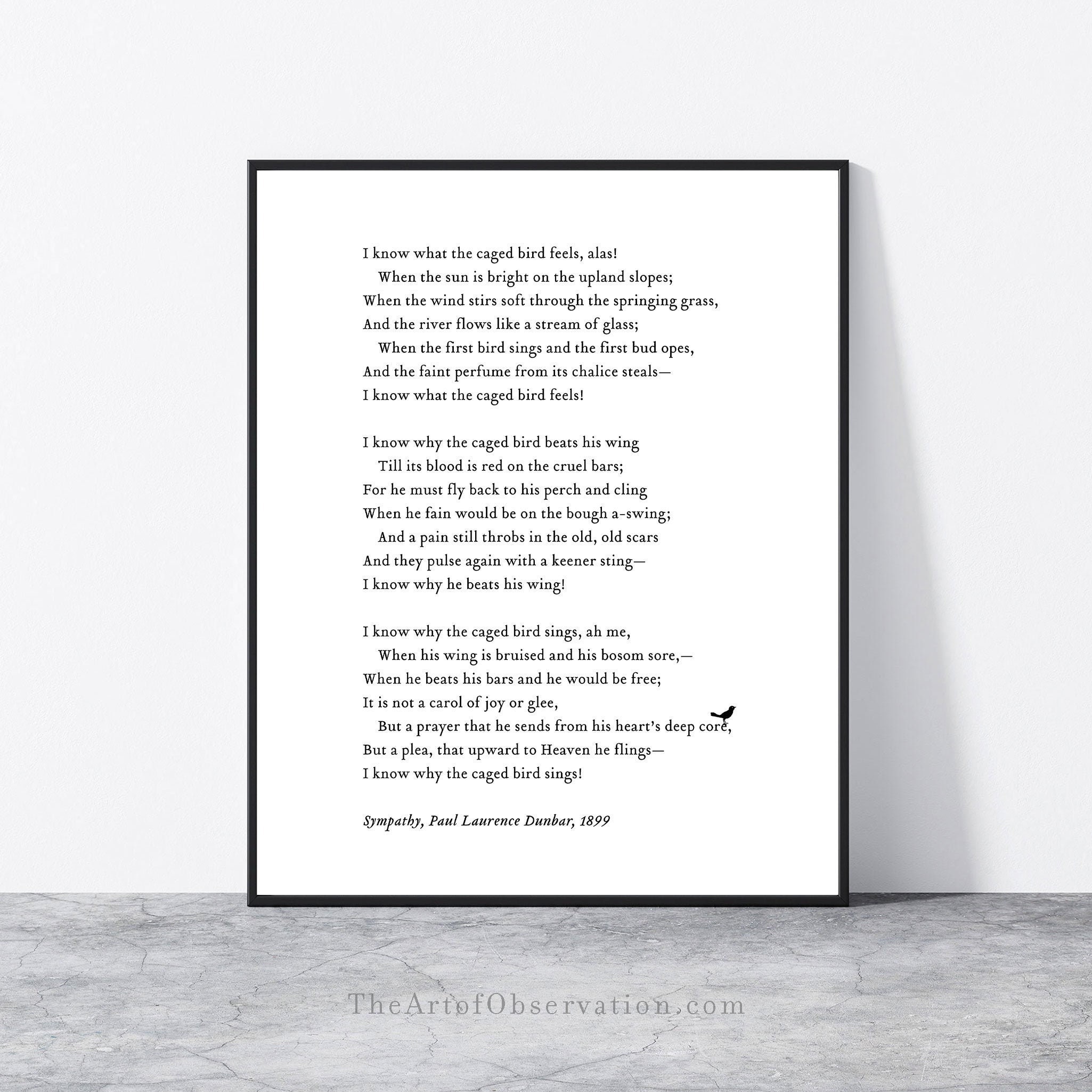 I Know Why The Caged Bird Sings Art