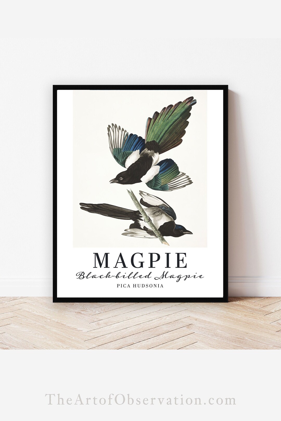 Magpie Audubon Bird Wall Art Print, Exhibition Poster, Home Decor for ...
