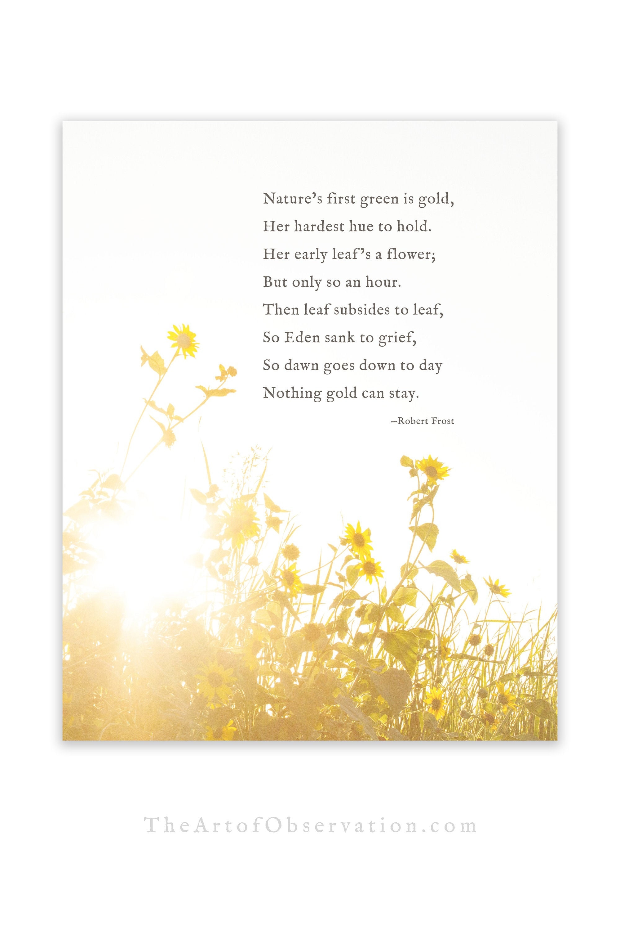 Stay Gold Poem Robert Frost