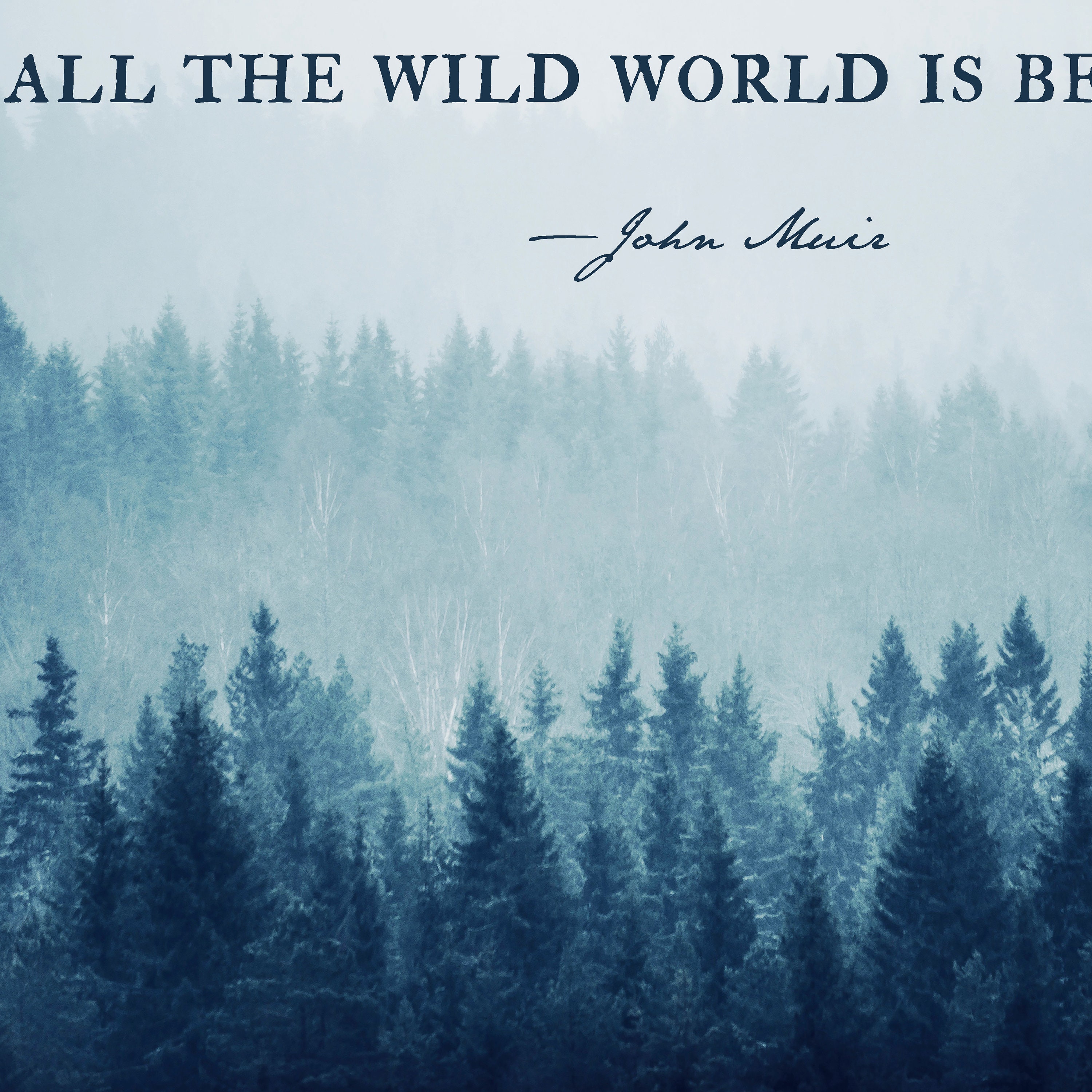 John Muir quote wall art print inspirational boho apartment | Etsy