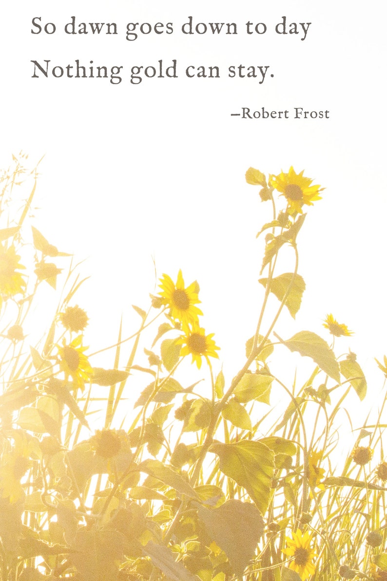 Nothing Gold Can Stay Poem Print Robert Frost Poetry Wall Art Print ...