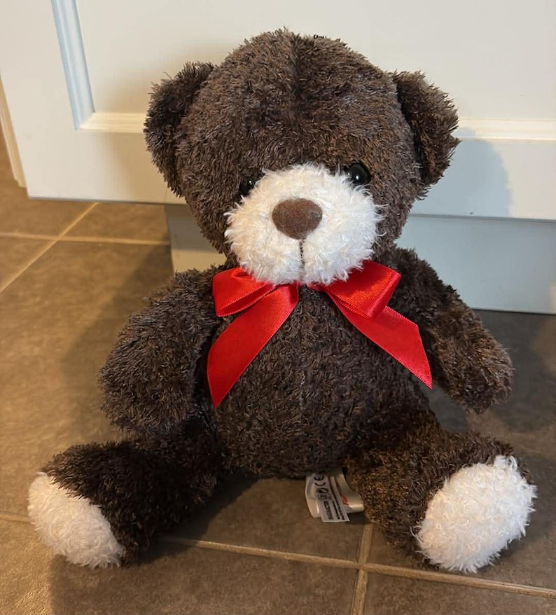 Tim Hortons Tim Teddy Cares Bear Stuffed Animal Toy Plush 10" - Etsy