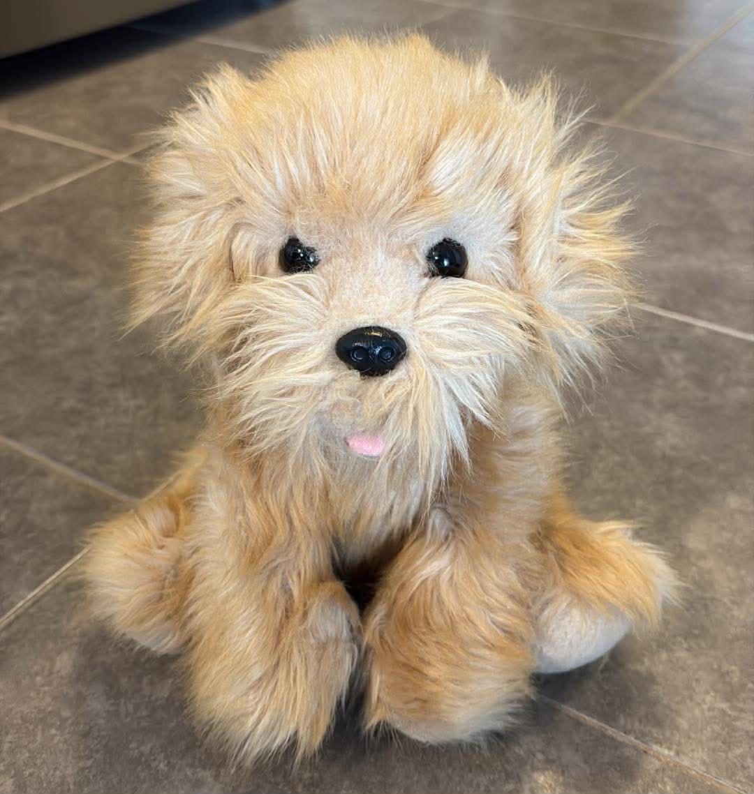 2006 TY Furry Colonel Tan Dog Puppy Plush 10" Tall - Etsy