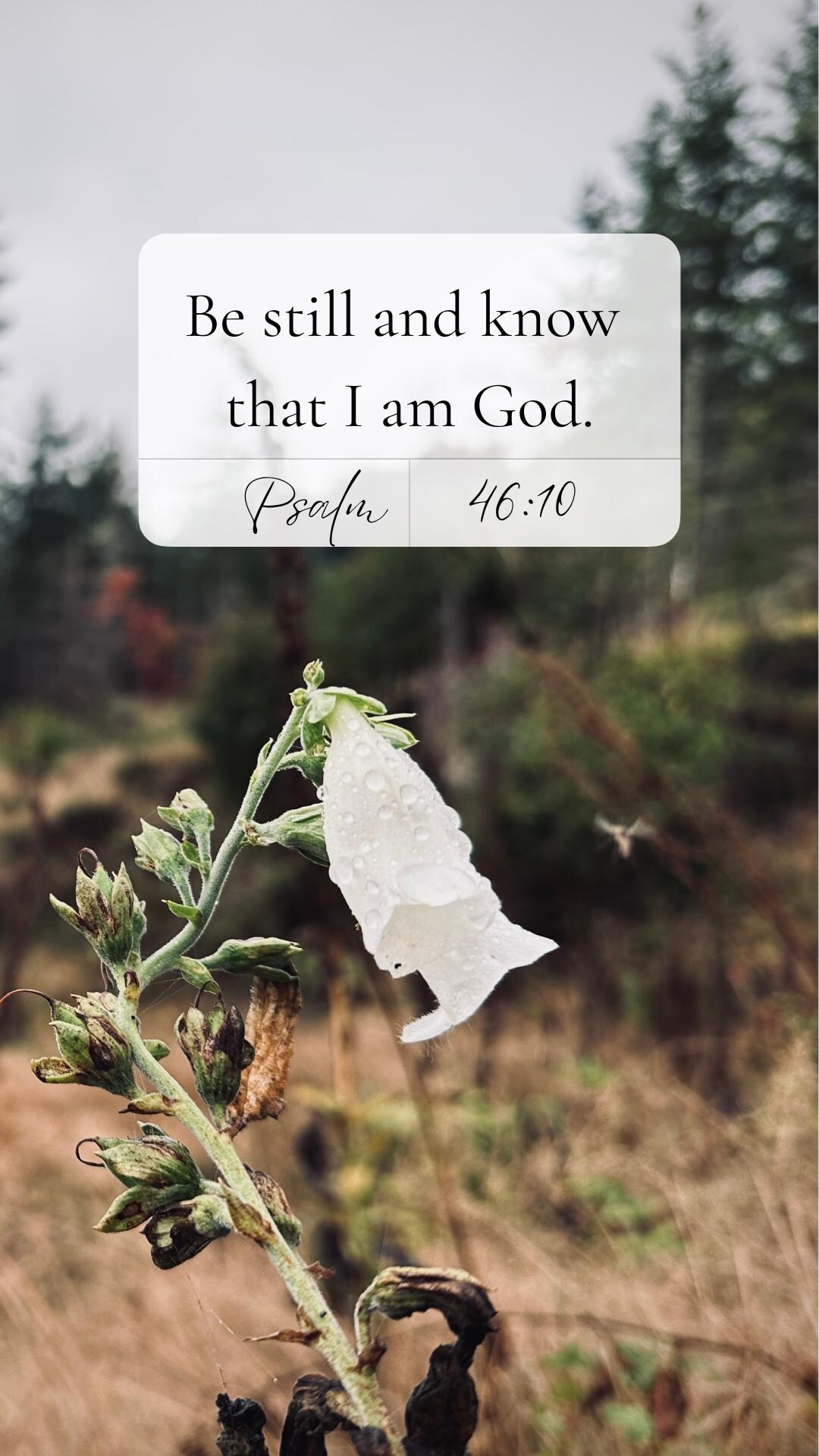 Be Still and Know | Christian Phone Wallpaper Set | Bible Verse Lock ...