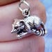Silver Opossum Necklace - Sterling Silver Opossum Charm on a Delicate ...