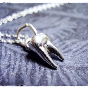 Silver Tooth Necklace - Sterling Silver Tooth Charm on a Delicate ...