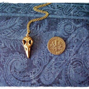 Gold Raven Skull Necklace - Bronze Raven Skull Charm on a Delicate 14kt ...