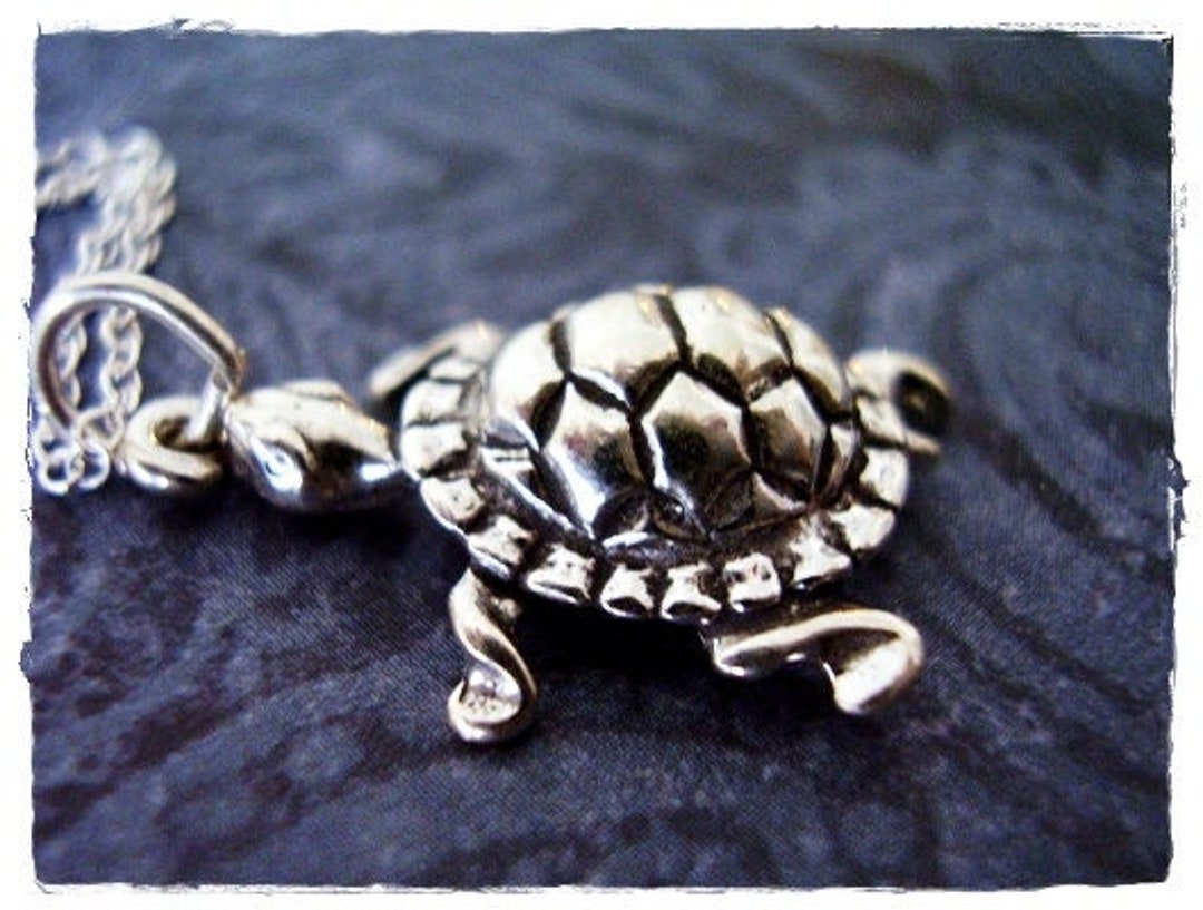 Silver Box Turtle Necklace - 925 Sterling Silver Box Turtle Charm on a ...