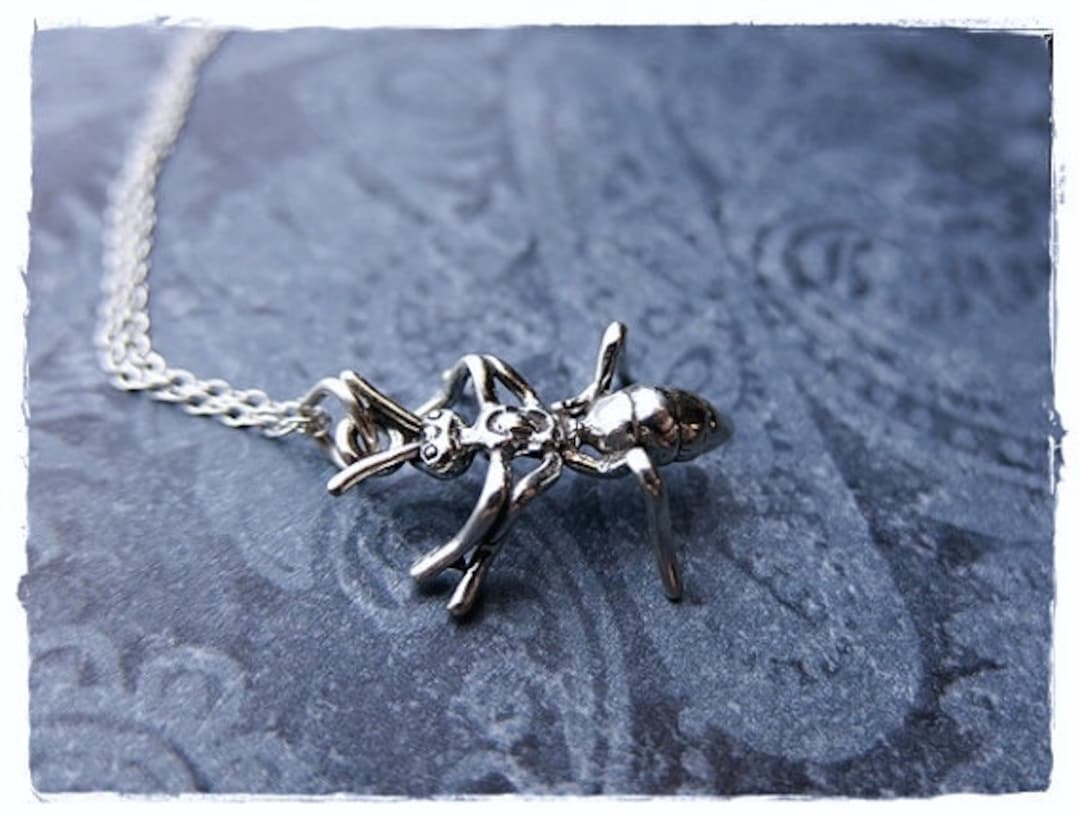 Silver Ant Necklace - Sterling Silver Ant Charm on a Delicate Sterling ...