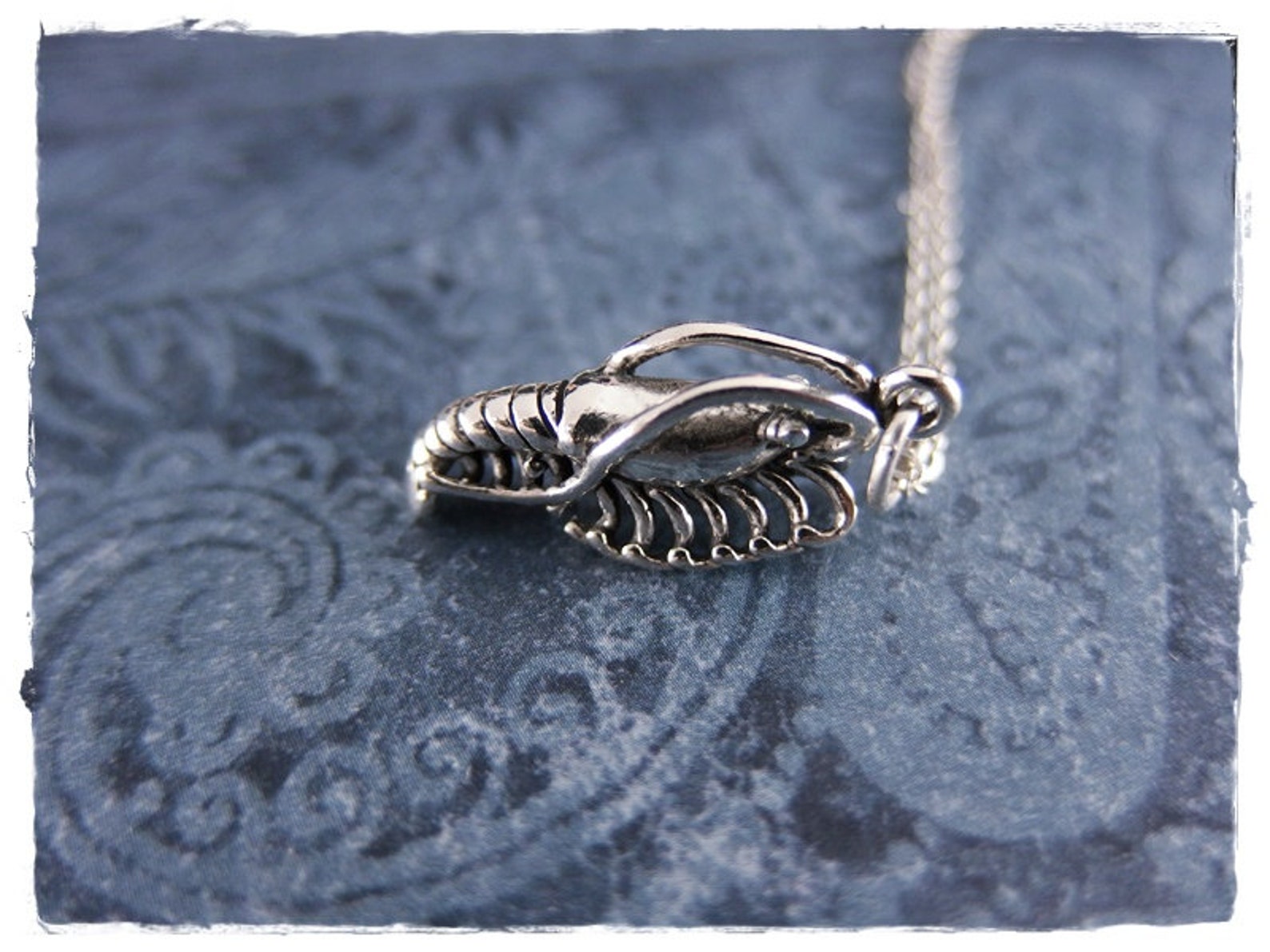 Silver Shrimp Necklace - Sterling Silver Shrimp Charm on a Delicate ...