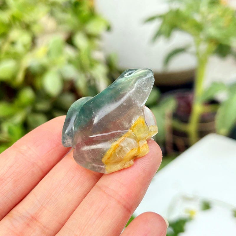 Frog Carving Kit - Etsy UK