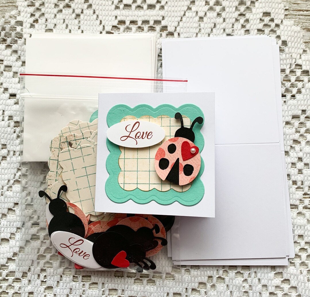 DIY Card Making Kit //valentines Day Cards // Ladybug Cards // Cards ...