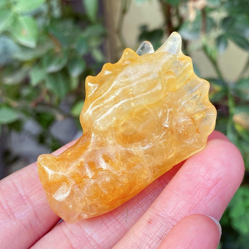 Golden Golden Dragon - Etsy