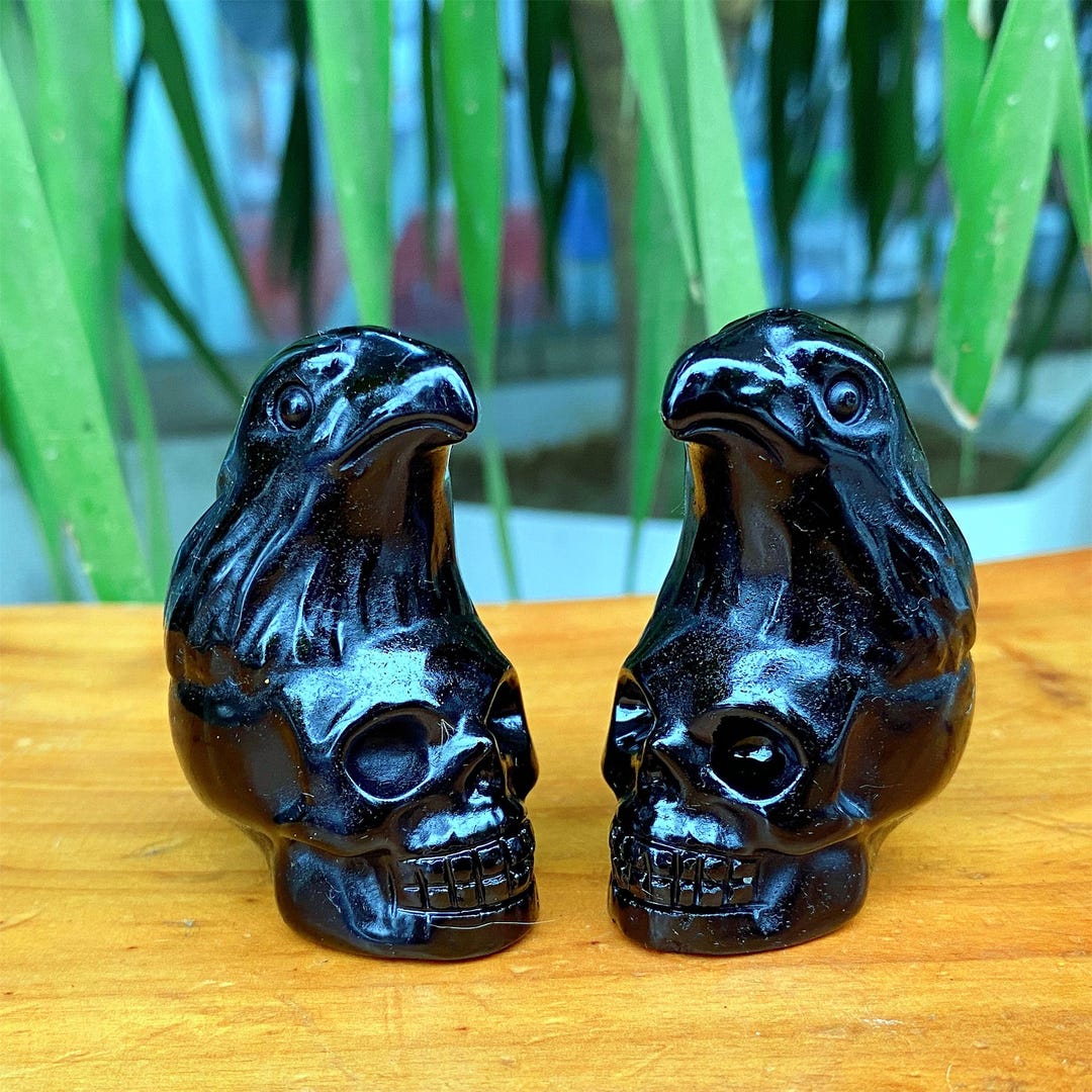 Obsidian Eagle Skull Carving: Natural Crystal Animal Sculpture - Etsy