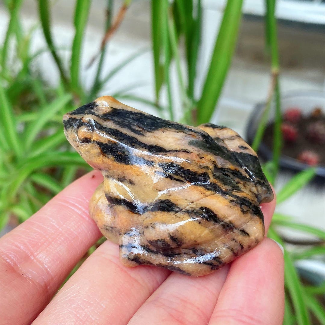 Tiger Skin Stone Frog Carving: Natural Quartz Crystal Animal - Etsy