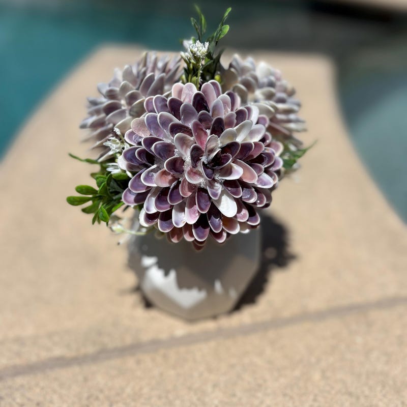 Shell Arrangements - Etsy