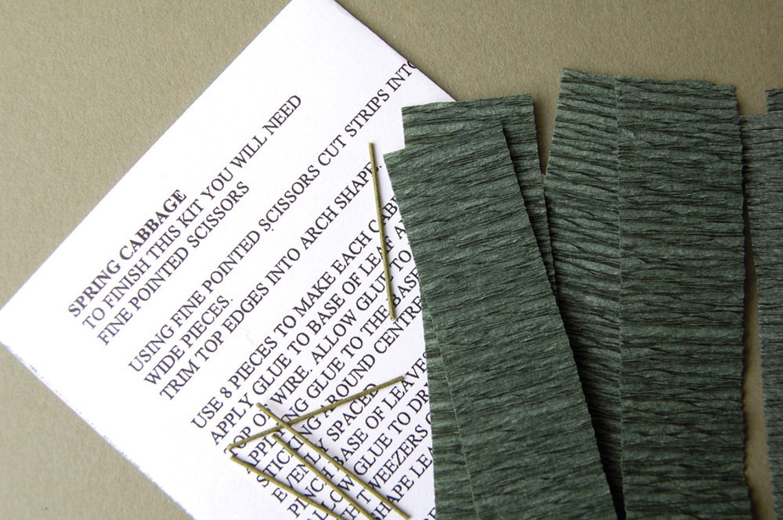 Spring Cabbage Paper Vegetable Kit for 1/12th Scale - Etsy