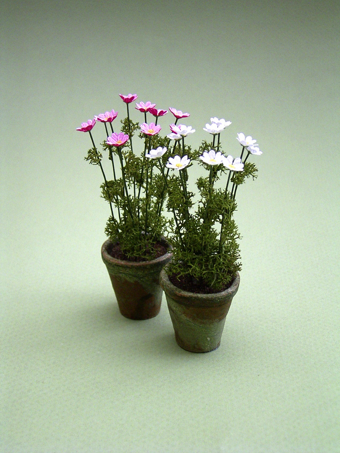 Cosmos Paper Flower Kit for 1/12th Scale Dollhouses, Florists and ...