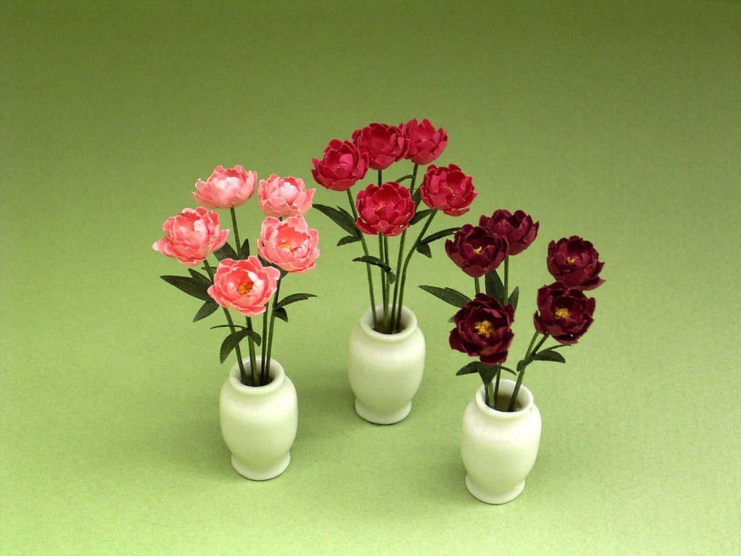 Peony Paper Flower Kit for 1/12th Scale Dollhouses, Florists and ...