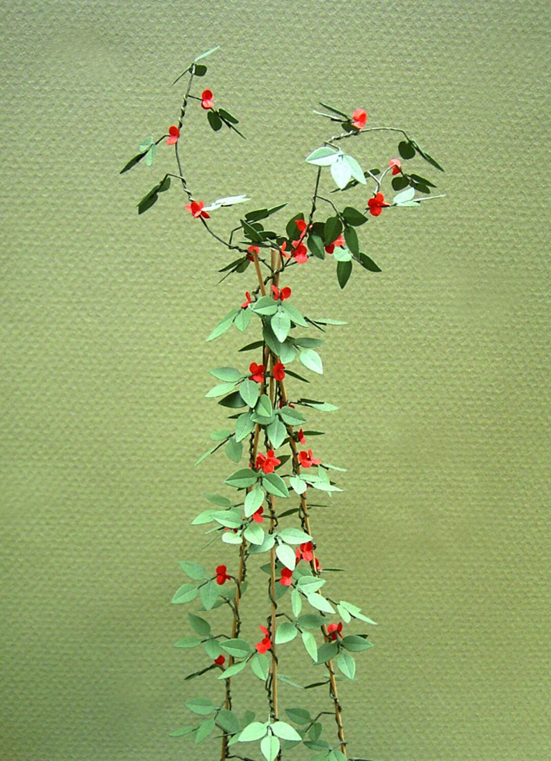 Runner Bean Paper Flower Kit for 1/12th Scale Dollhouses, Florists and ...