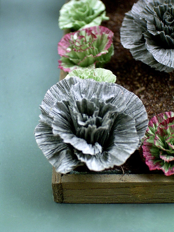 Spring Cabbage Paper Vegetable Kit for 1/12th Scale - Etsy