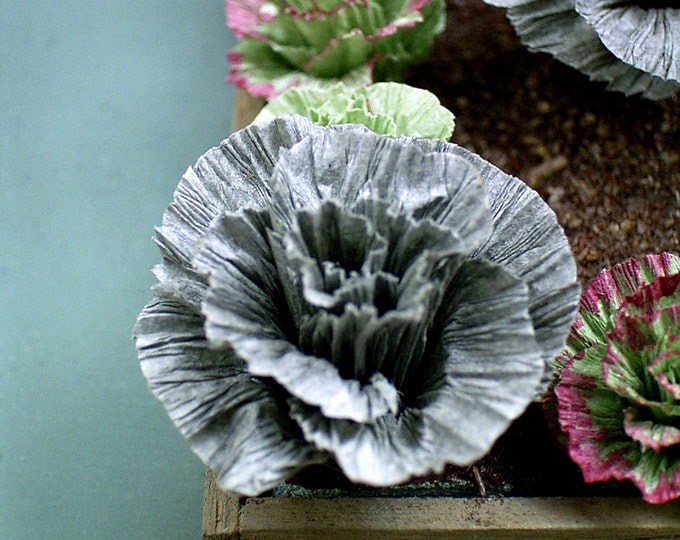 Spring Cabbage Paper Vegetable Kit for 1/12th Scale - Etsy