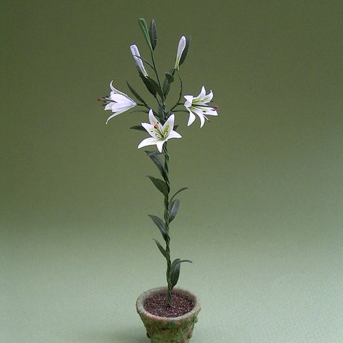 Lily Longiflorum Paper Flower Kit for 1/12th Scale Dollhouses - Etsy