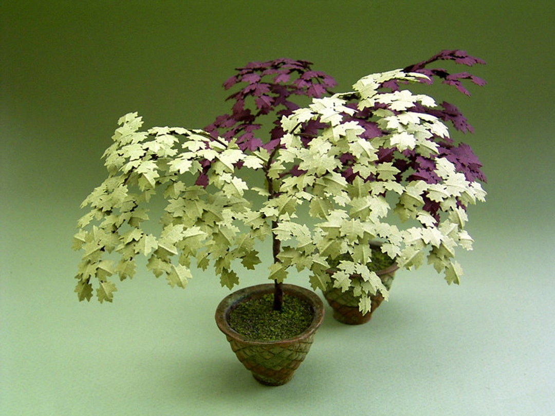 Acer Palmatum Paper Tree Kit for 1/12th Dollhouses, Florists and ...