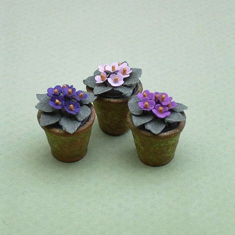 Violets - Etsy