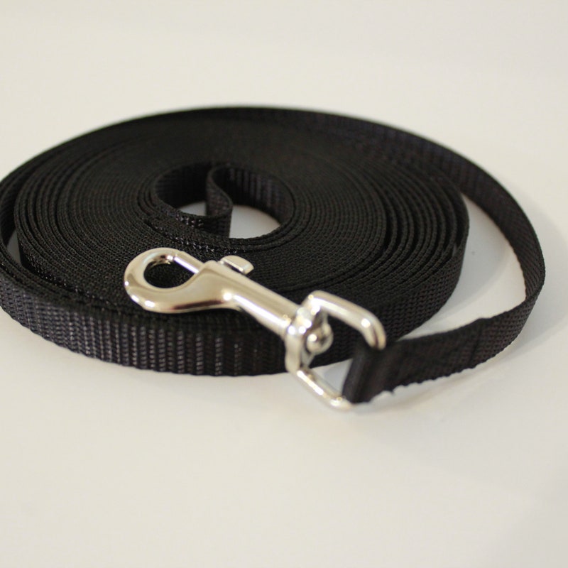 3/8 Nylon Dog Leash - Etsy