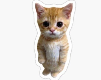Meme Photo Sticker Watermelon Dog ,meme Sticker, Funny Stickers, Water ...