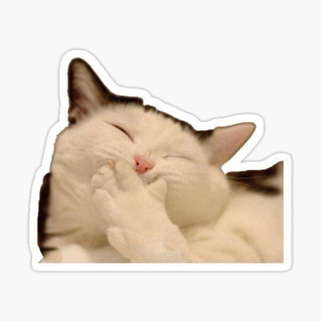 Meme Cat Photo Sticker ,meme Sticker, Funny Stickers, Water Bottle ...