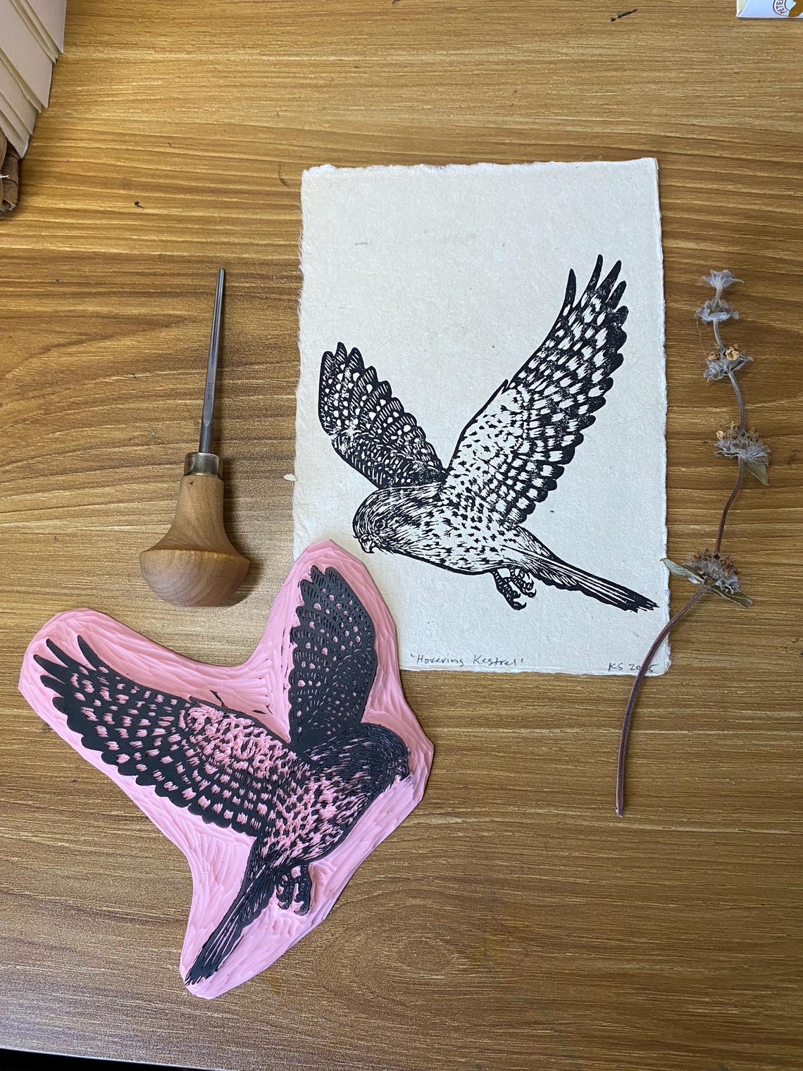 American Kestrel Lino Cut Print Set: Falcon Portrait on Lokta Paper - Etsy
