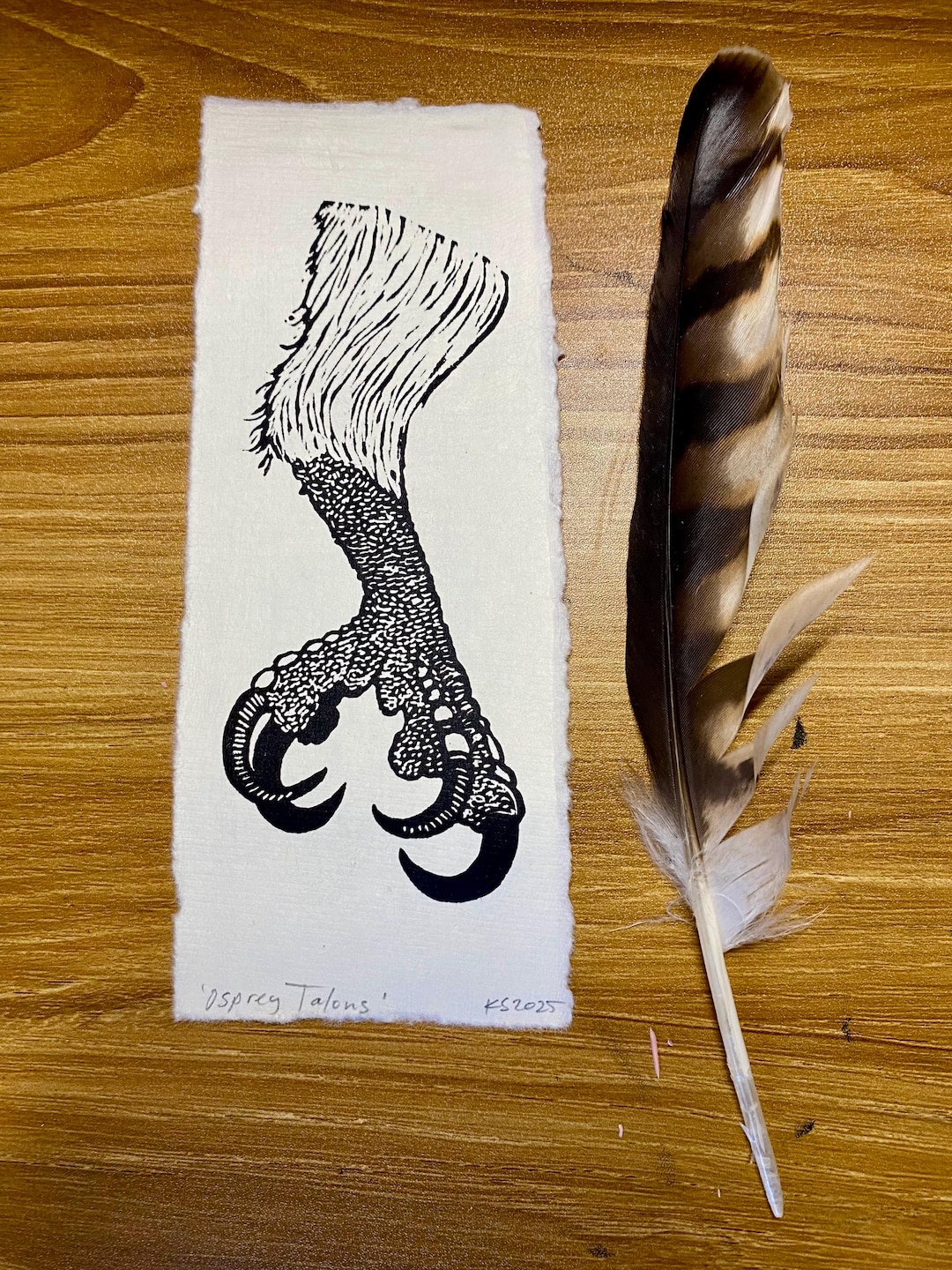 Osprey Talons Mini Print Fish Hawk Bird OF Prey LINOCUT Relief Print - Etsy