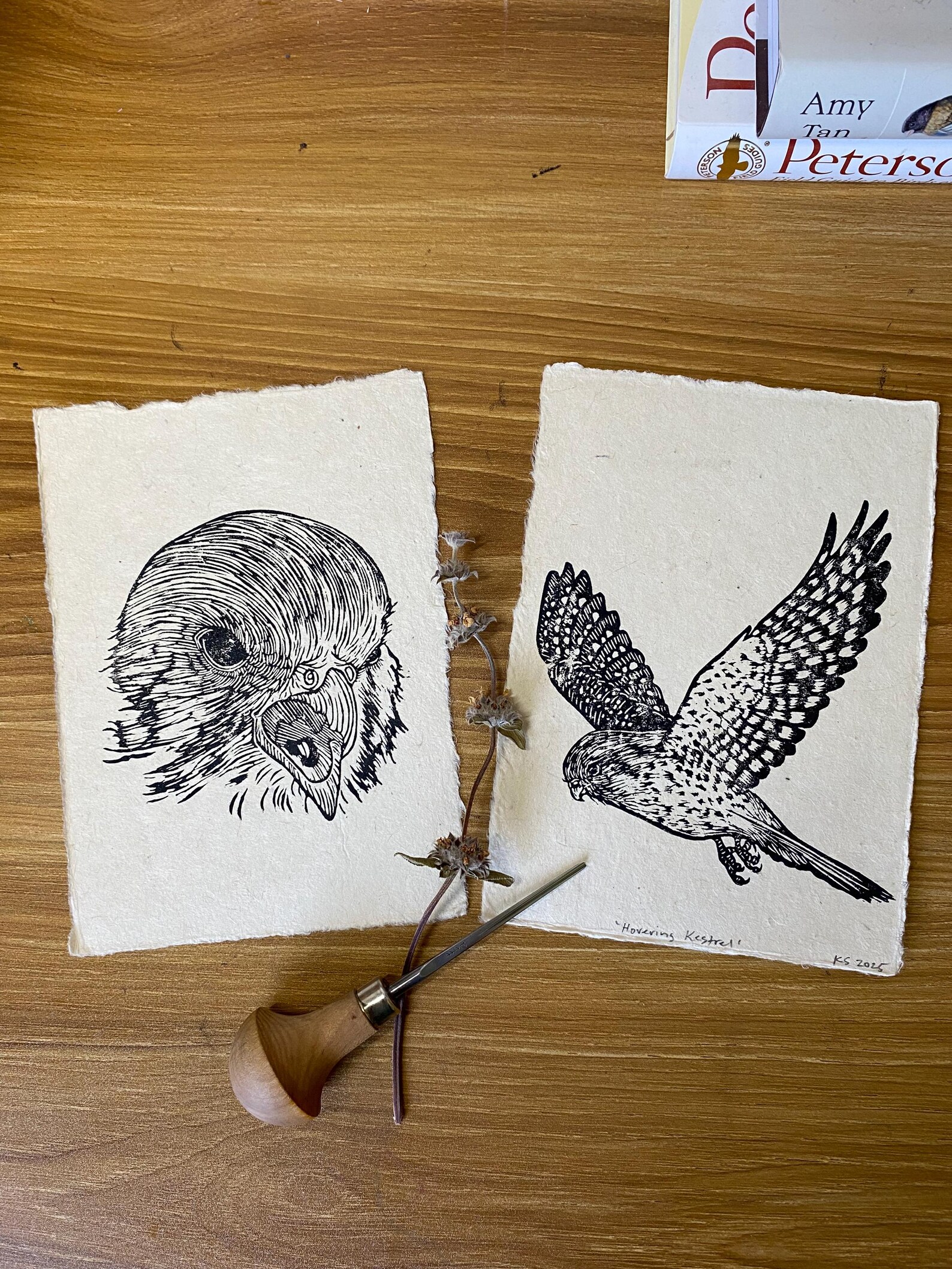 American Kestrel Lino Cut Print Set: Falcon Portrait on Lokta Paper - Etsy