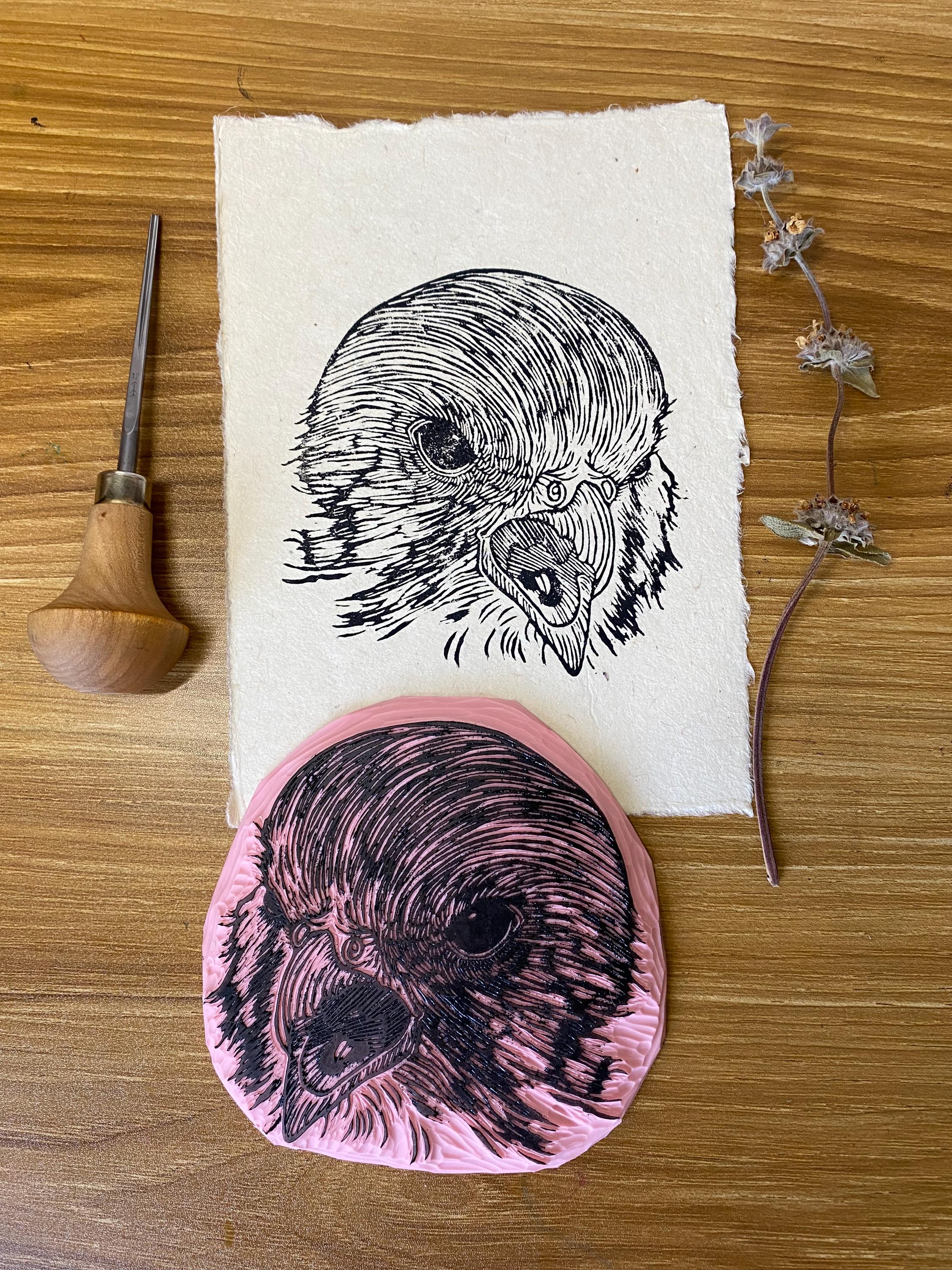 American Kestrel Lino Cut Print Set: Falcon Portrait on Lokta Paper - Etsy