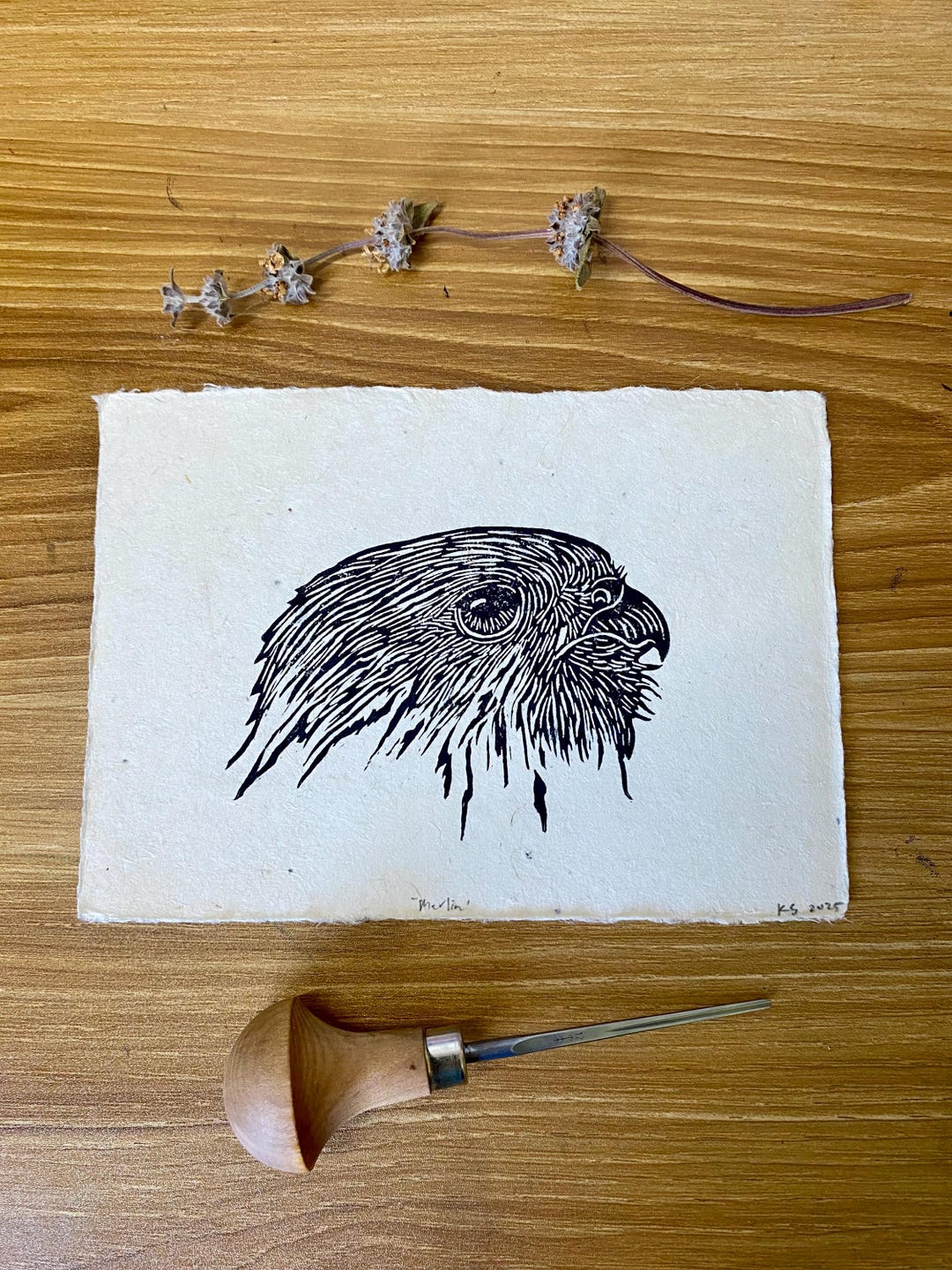 Merlin Portrait Lino Cut Print Relief Bird of Prey Print Original - Etsy