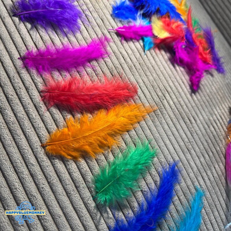 Colorful Craft Feathers: Assorted Colors, Dream Catchers, DIY Decor - Etsy