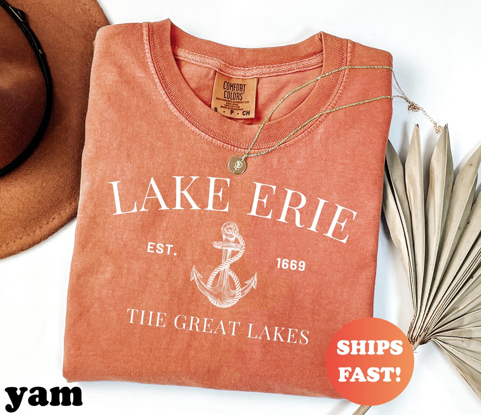 Comfort Colors® Lake Erie EST 1669 Shirt, Vintage Lake Erie Tee, Retro ...