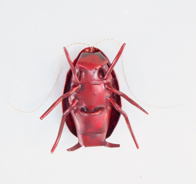 2 Inch Shell Red Roach Copper Metal Wall Sculpture - Etsy
