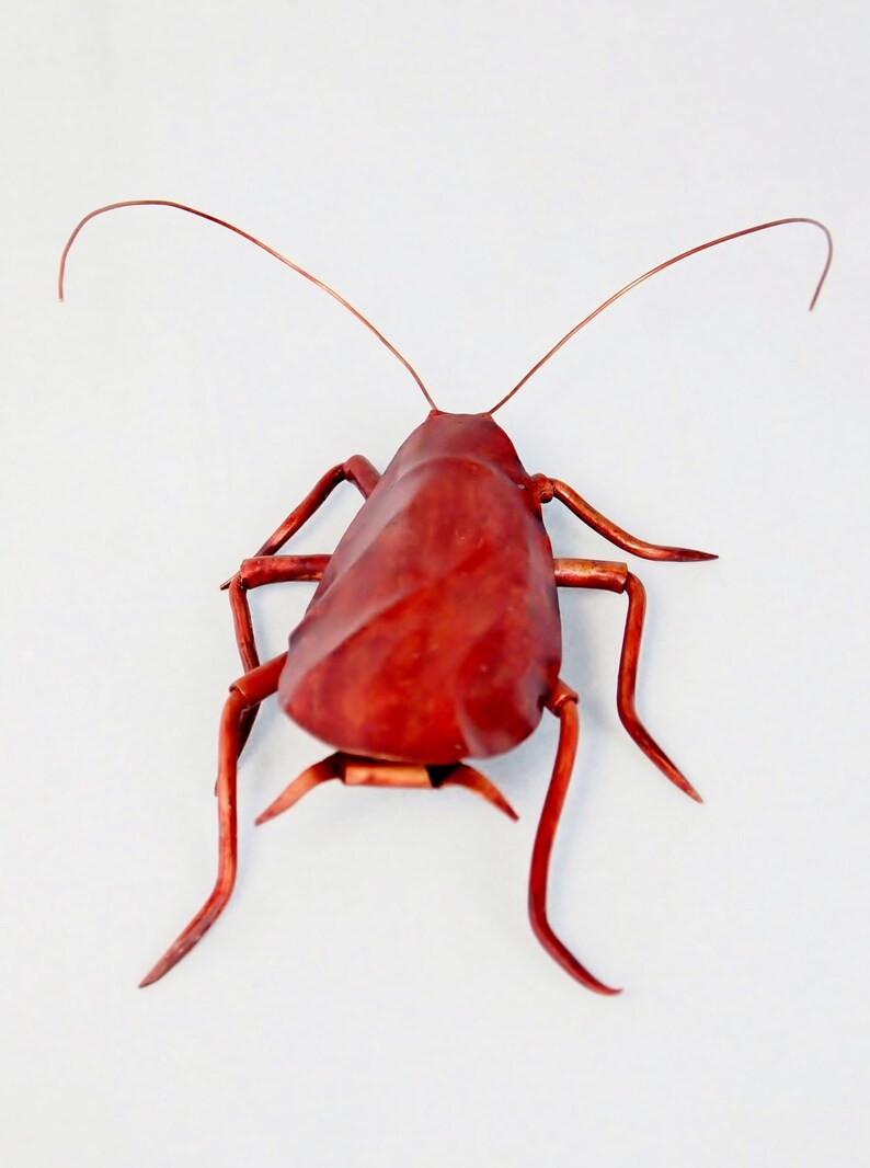 3 1/2 Inch Red Roach Wall Copper Metal Sculpture - Etsy