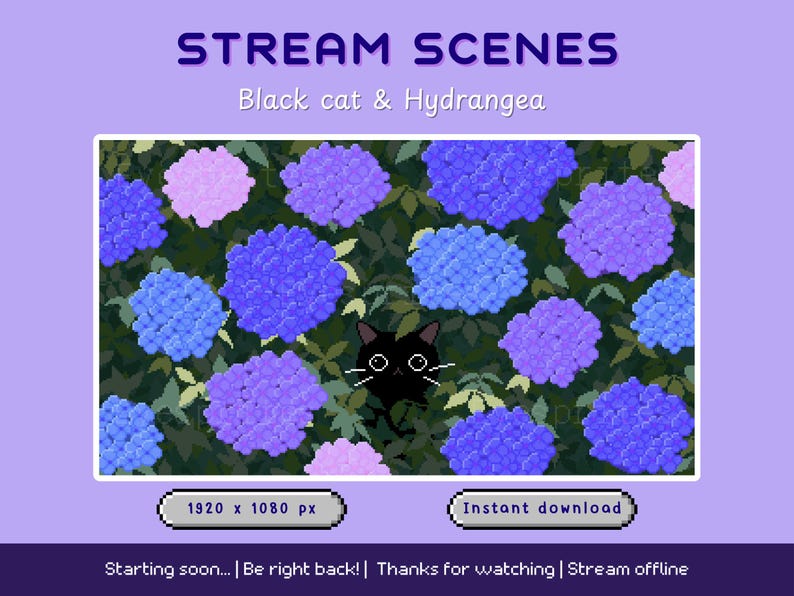 Animated Twitch Stream Overlay: Black Cat Hiding in the Hydrangea Bush ...