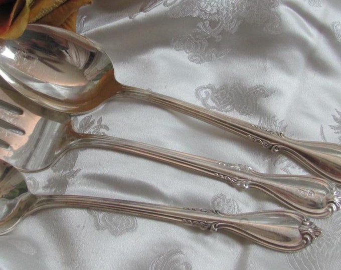 Memory Southern Splendor Pattern // Silver Plate 2 Large Serving Spoons ...