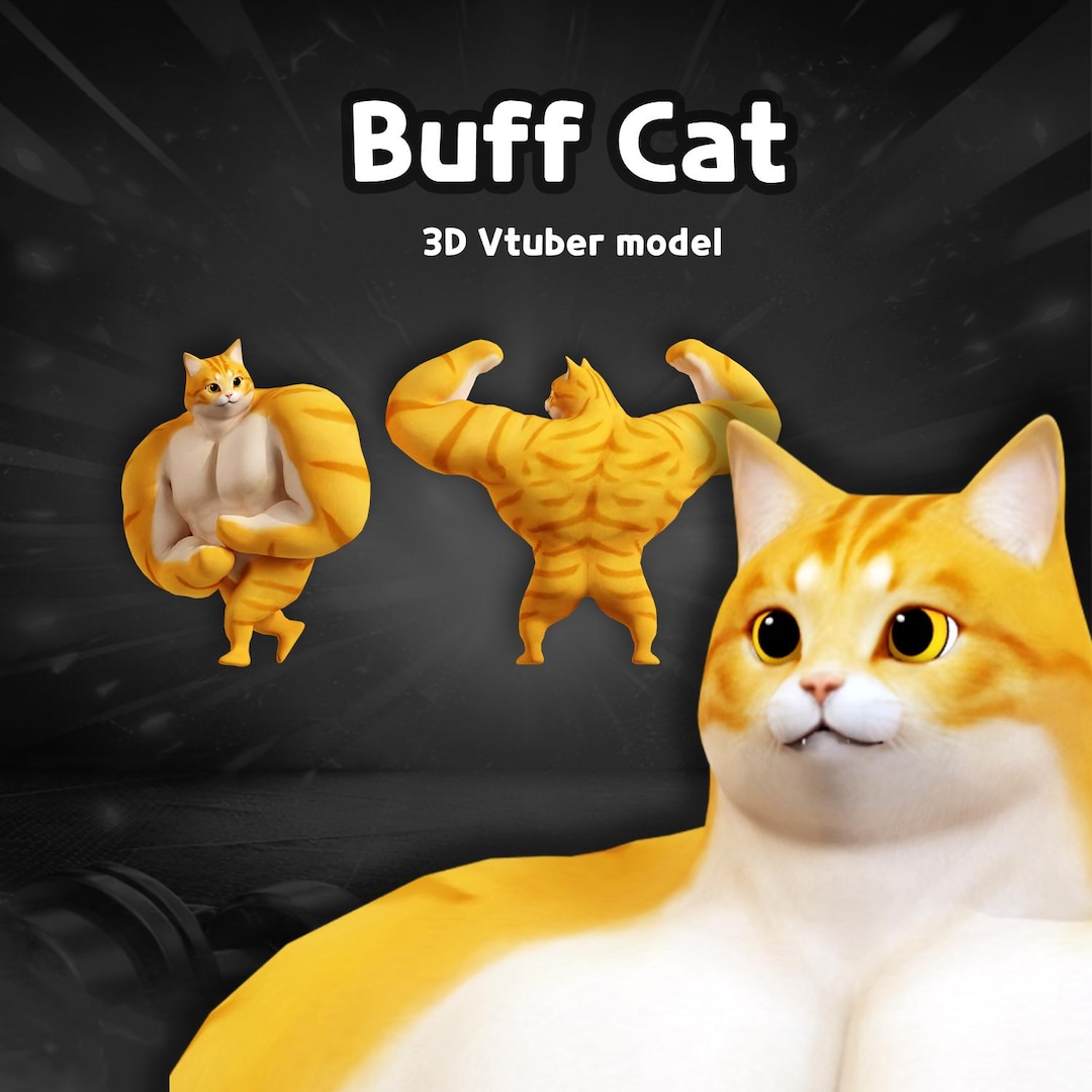 Buff Cat Vtuber Model | Muscular Meme Cat Avatar | VRM for Vseeface ...
