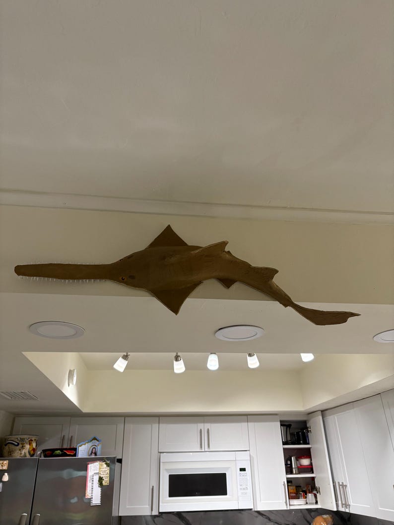 Wall Sharks (LARGE) Made With Recycled Cardboard/paper Mache - Etsy