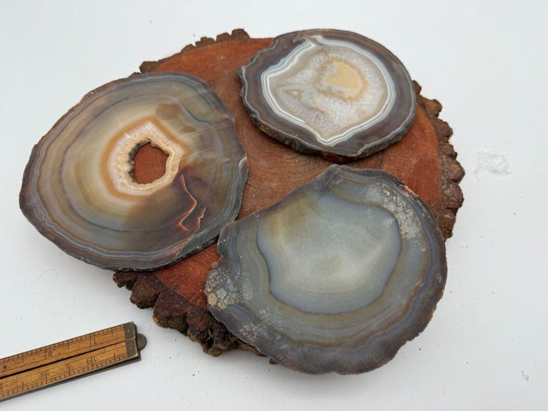 3 Sliced Geode/rock Specimens Slices--618.25 - Etsy
