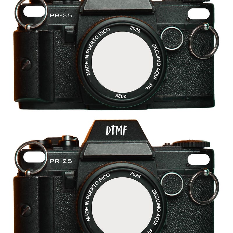 Bad Bunny Cameras - Etsy
