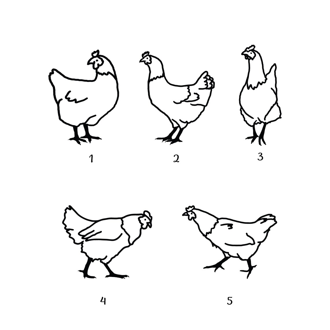 Personalised Family Chicken Print | Etsy