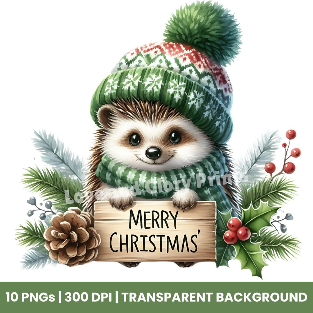 Watercolor Christmas Hedgehog PNG, Festive Holiday Animal Clipart, Cute ...